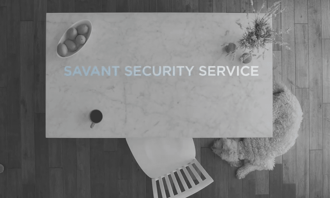 Savant Security: Leading the way in Smart Home Security - Avation